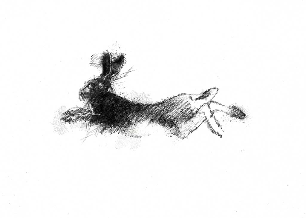 Hare flight | SeanBriggs – Sean-Briggs-Art