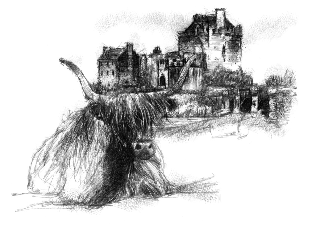 Highland castle | SeanBriggs